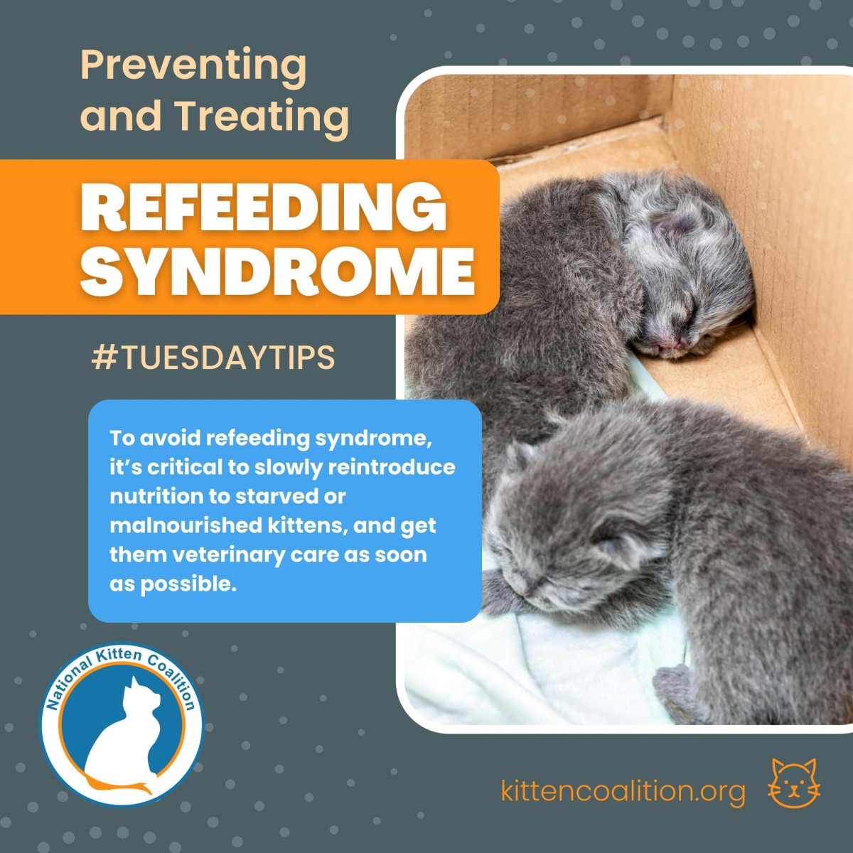 Understanding, Preventing and Treating Refeeding Syndrome: Part 2 ...