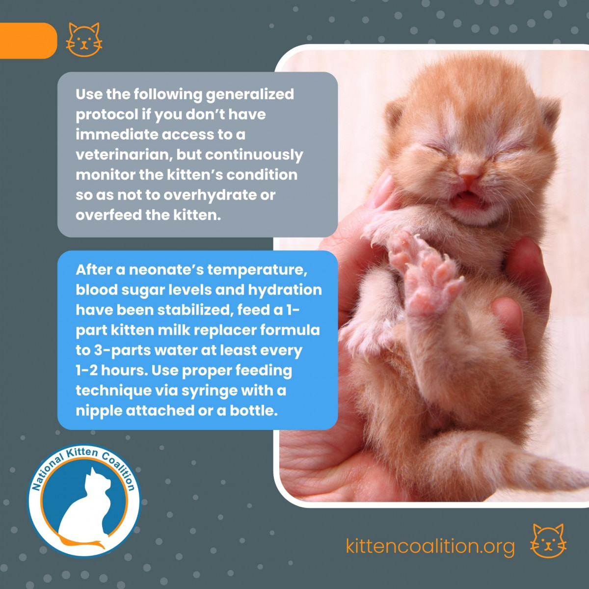 Understanding, Preventing and Treating Refeeding Syndrome: Part 2 ...