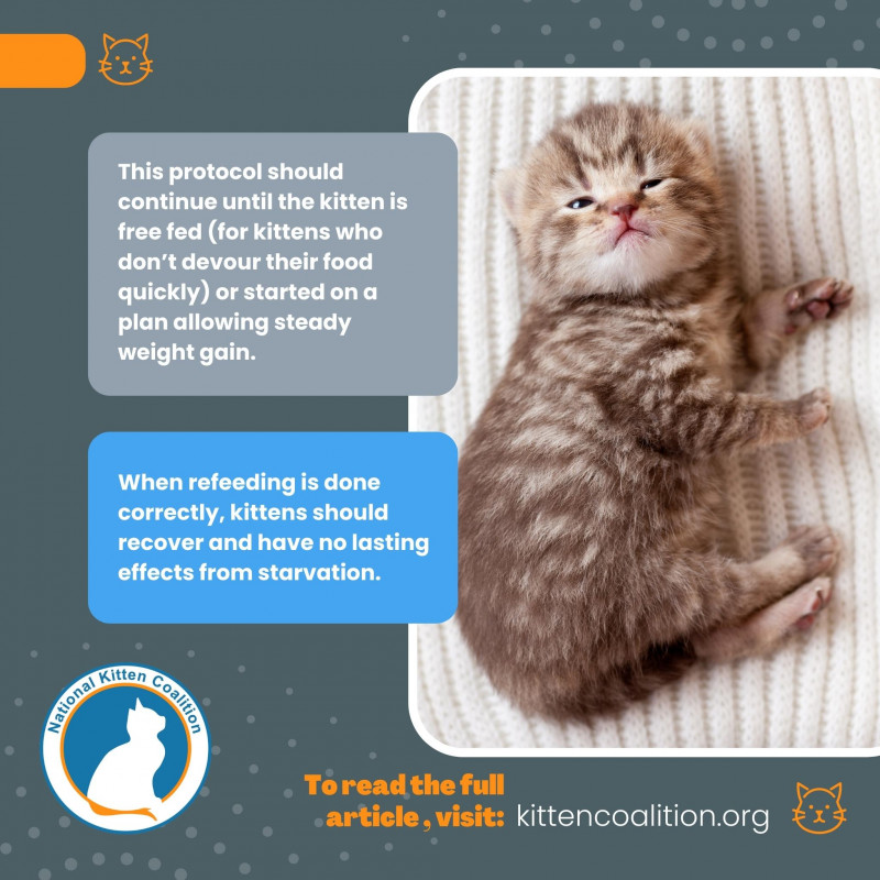 Understanding, Preventing and Treating Refeeding Syndrome: Part 2 ...