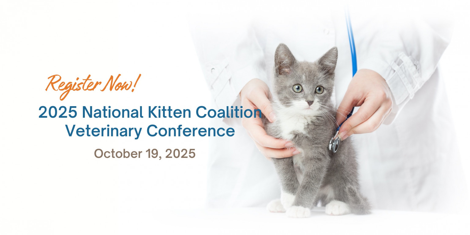 NKCVC_2025-slide - National Kitten Coalition
