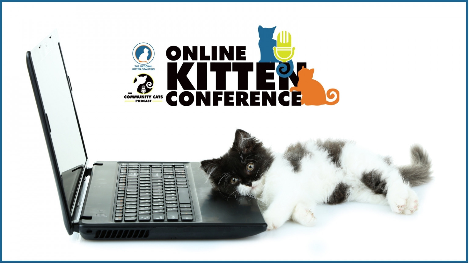Events from June 8 – October 20 – National Kitten Coalition