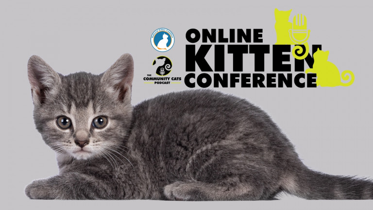 Upcoming Events – National Kitten Coalition